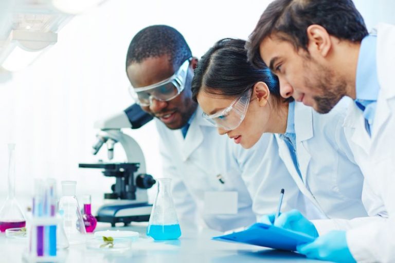 Top 5 Universities to Study Medicine | FundiConnect